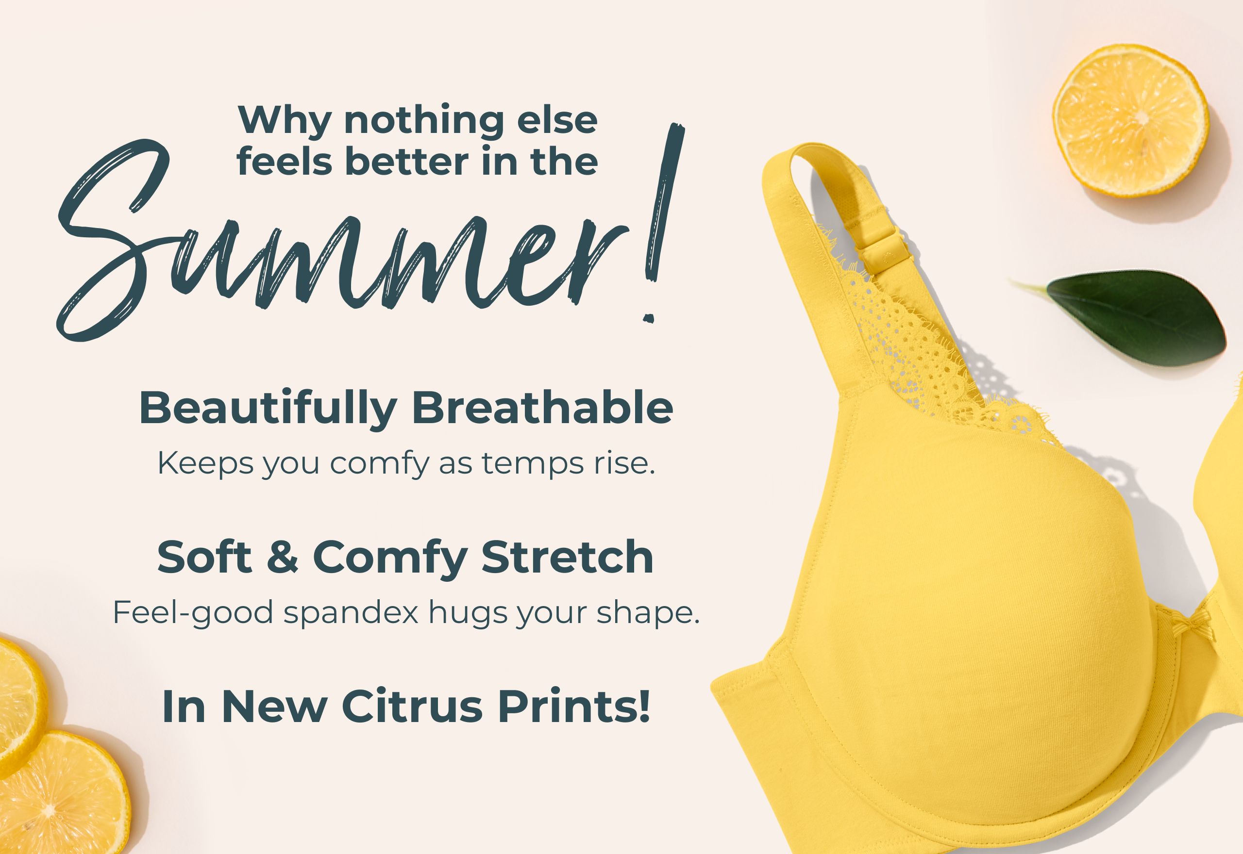 Plus Size Cotton Bras | Cacique