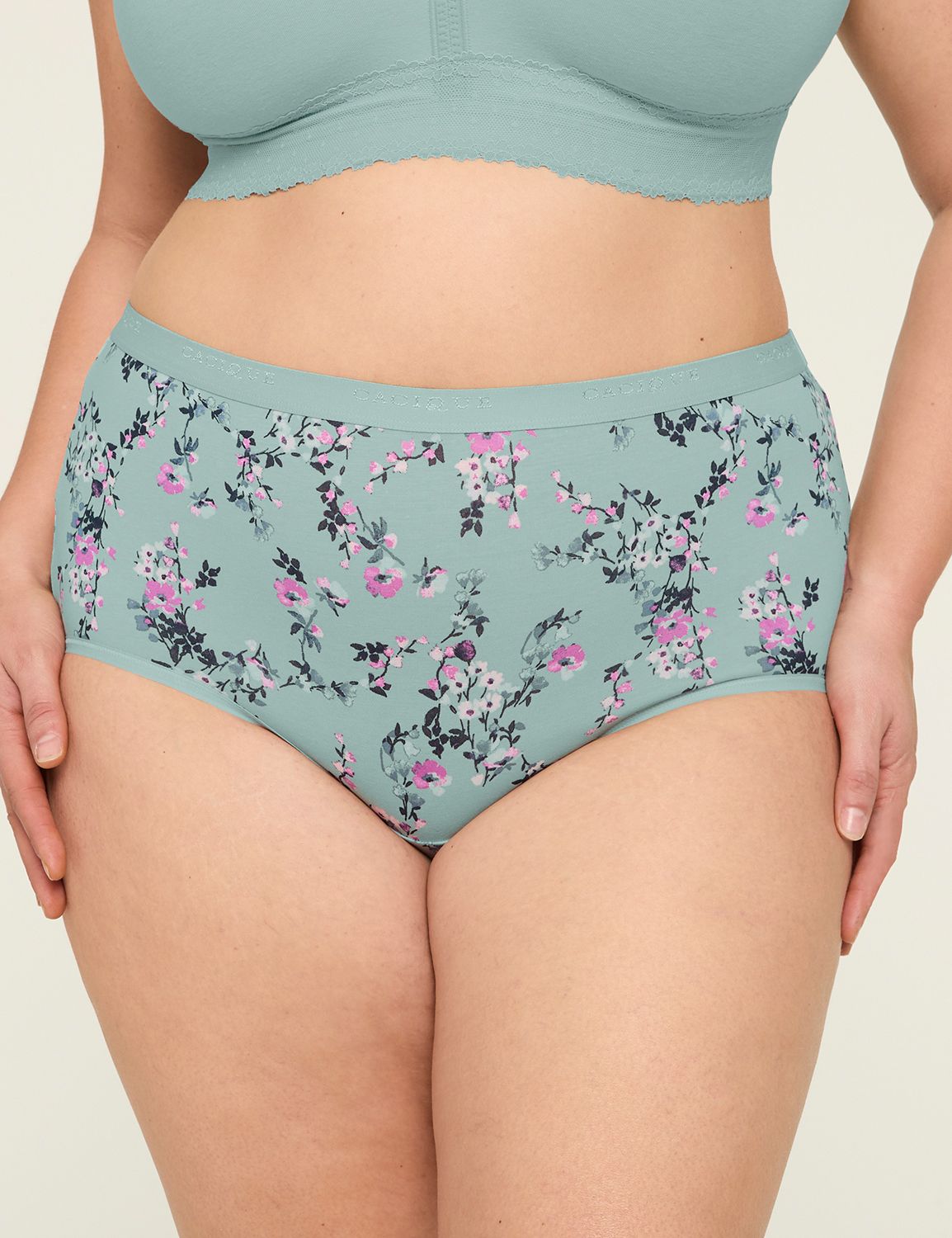 Cotton Full Brief Tailored 15S 1109 | LaneBryant