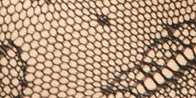 Size 38J Supportive Plus Size Bras For Women | Cacique