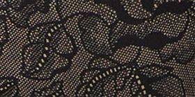 Seamless Plus Size No-Show Underwear & Panties | Cacique