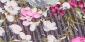 Seamless Plus Size No-Show Underwear & Panties | Cacique