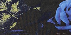 Seamless Plus Size No-Show Underwear & Panties | Cacique