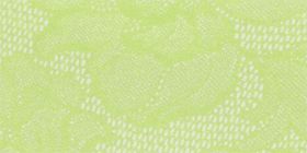 Seamless Plus Size No-Show Underwear & Panties | Cacique