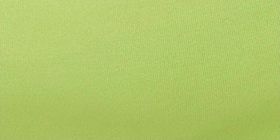 Seamless Plus Size No-Show Underwear & Panties | Cacique