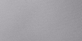 Seamless Plus Size No-Show Underwear & Panties | Cacique