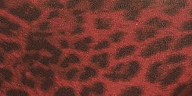 Size 6-8 Lane Bryant New to Sale Intimates | LaneBryant